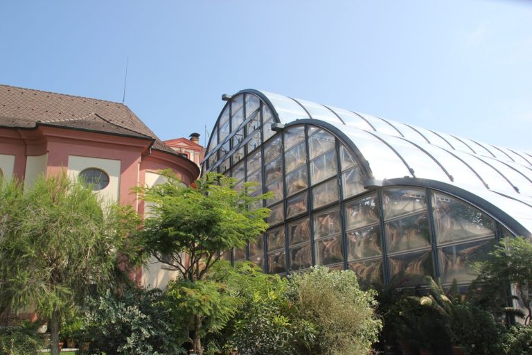 Palmenhaus Insel Mainau | Oberschwabens Sehenswürdigkeiten
