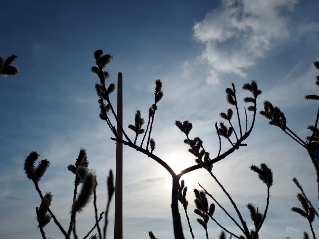 Kirchenmauer Kirche Fleischwangen | Oberschwabens Sehenswürdigkeiten